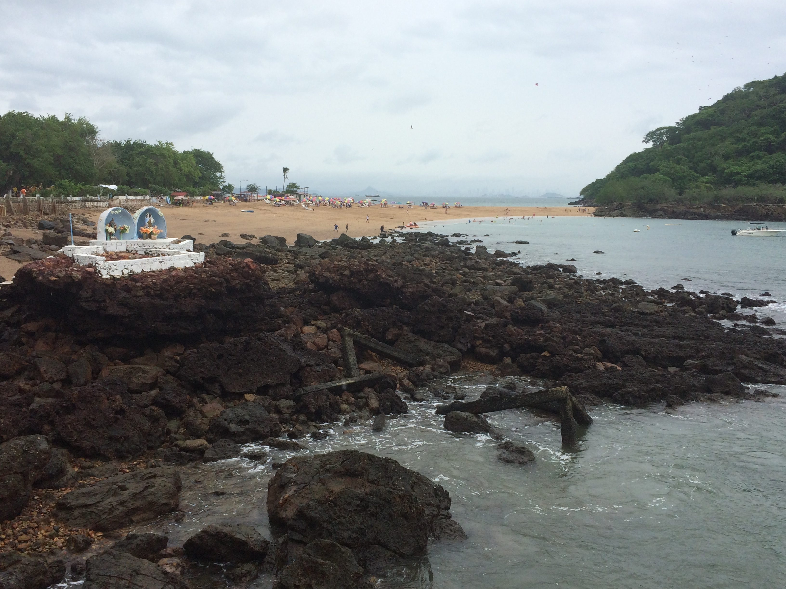 Island of Flowers: Isla Taboga – Bear & Raccoon